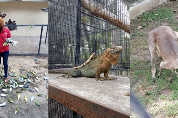 Hope Zoo treats 300 children in state care | Old Harbour News